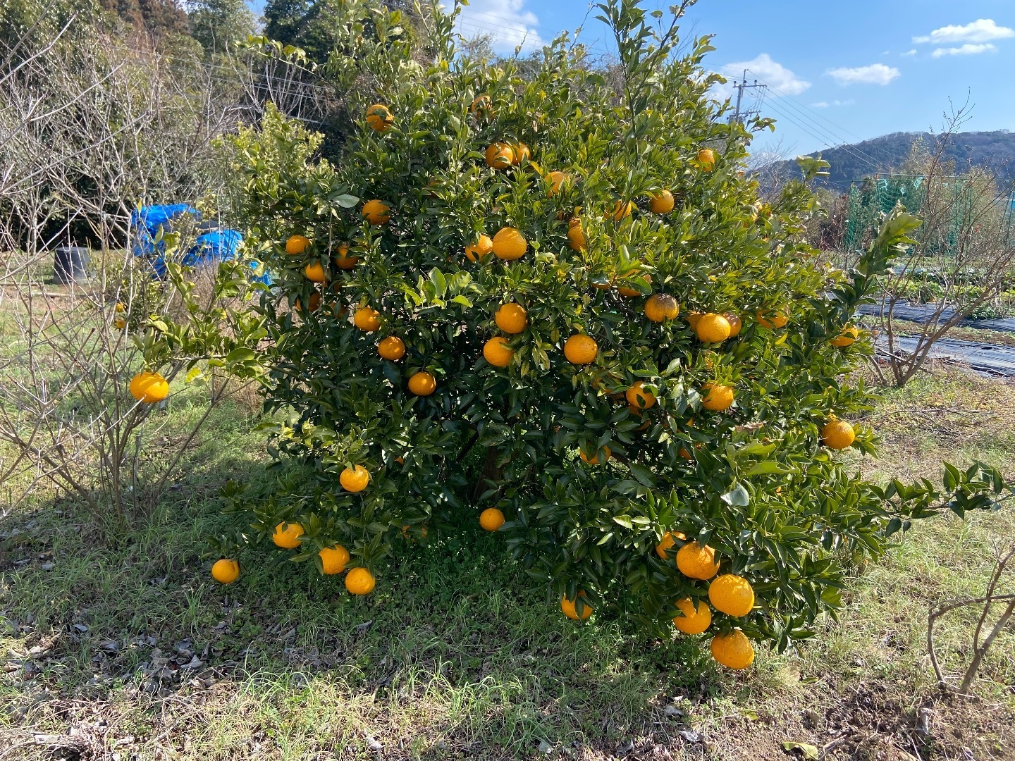 2階に走ります！: みゅうとれおんの毎日